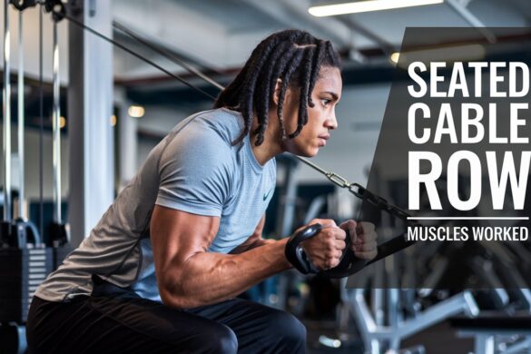 Short vs Long Biceps: Differences, Training Tips, and FAQs