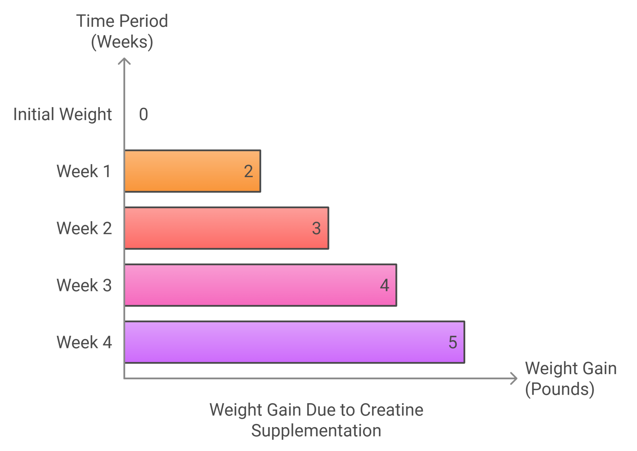 Creatine Water Retention: Causes and Solutions